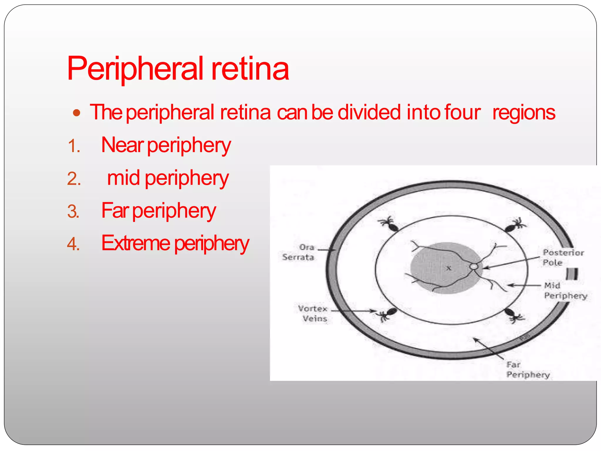 Anatomy of retina | PPTX