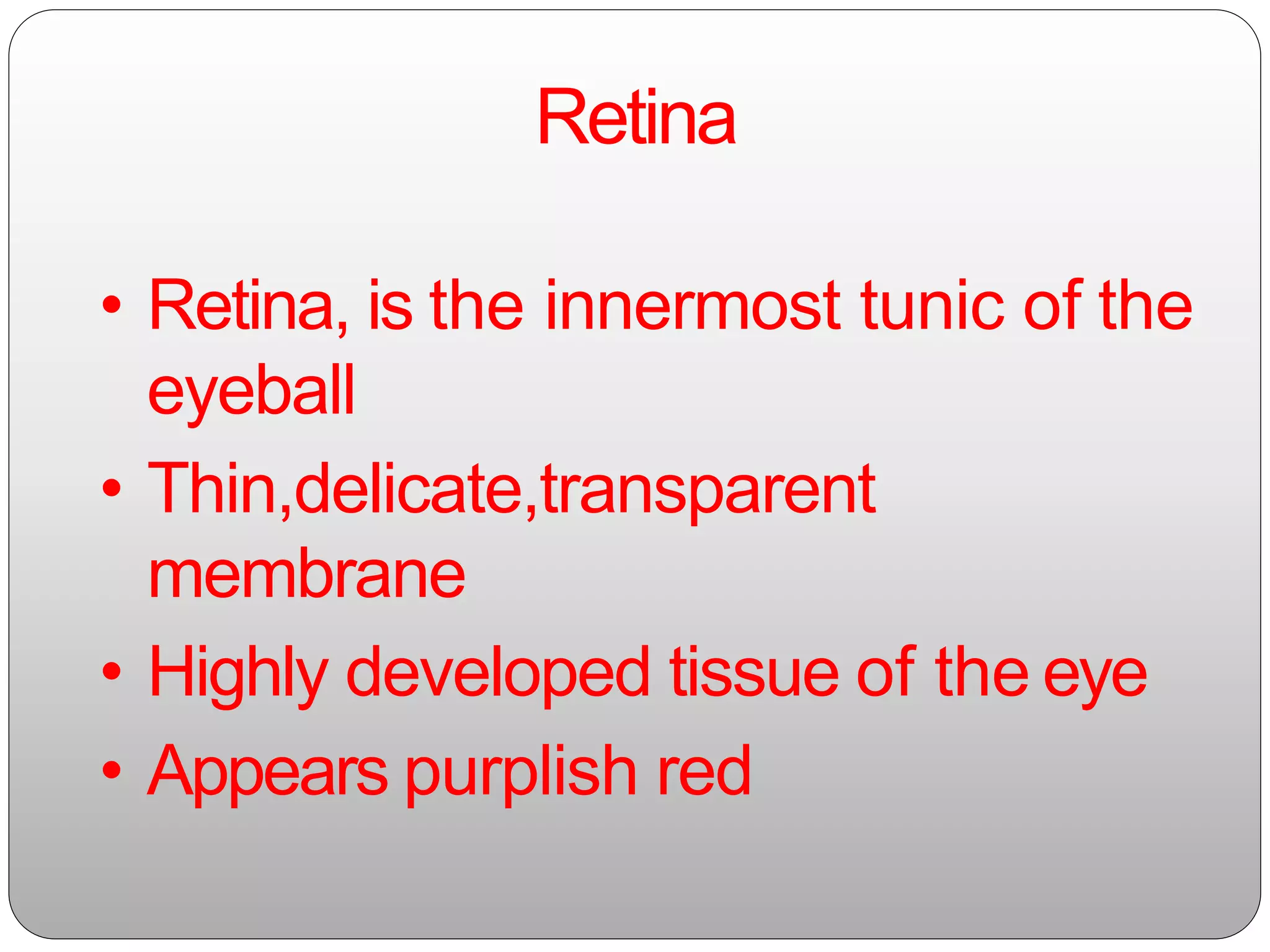 Anatomy of retina | PPTX