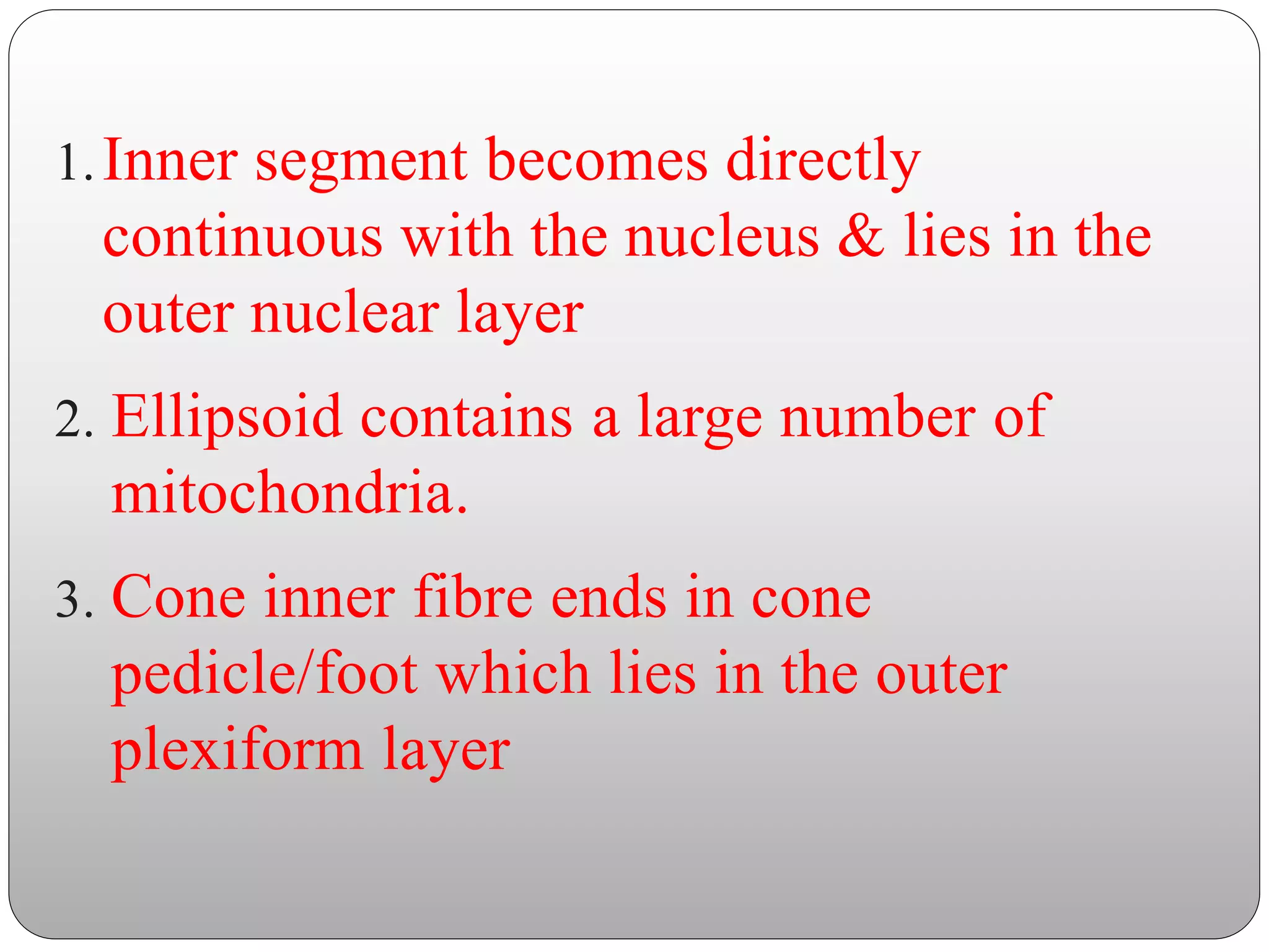 Anatomy of retina | PPTX