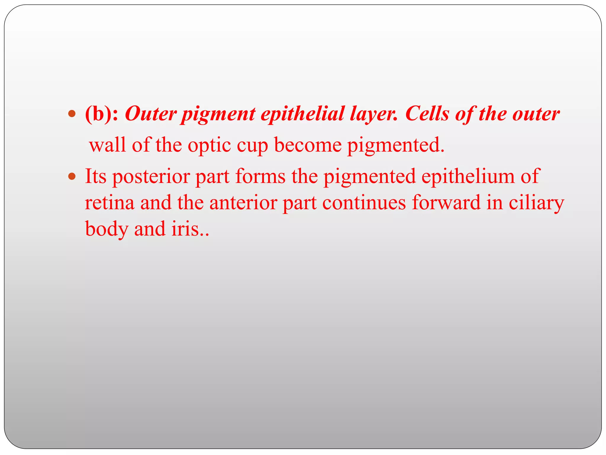 Anatomy of retina | PPTX