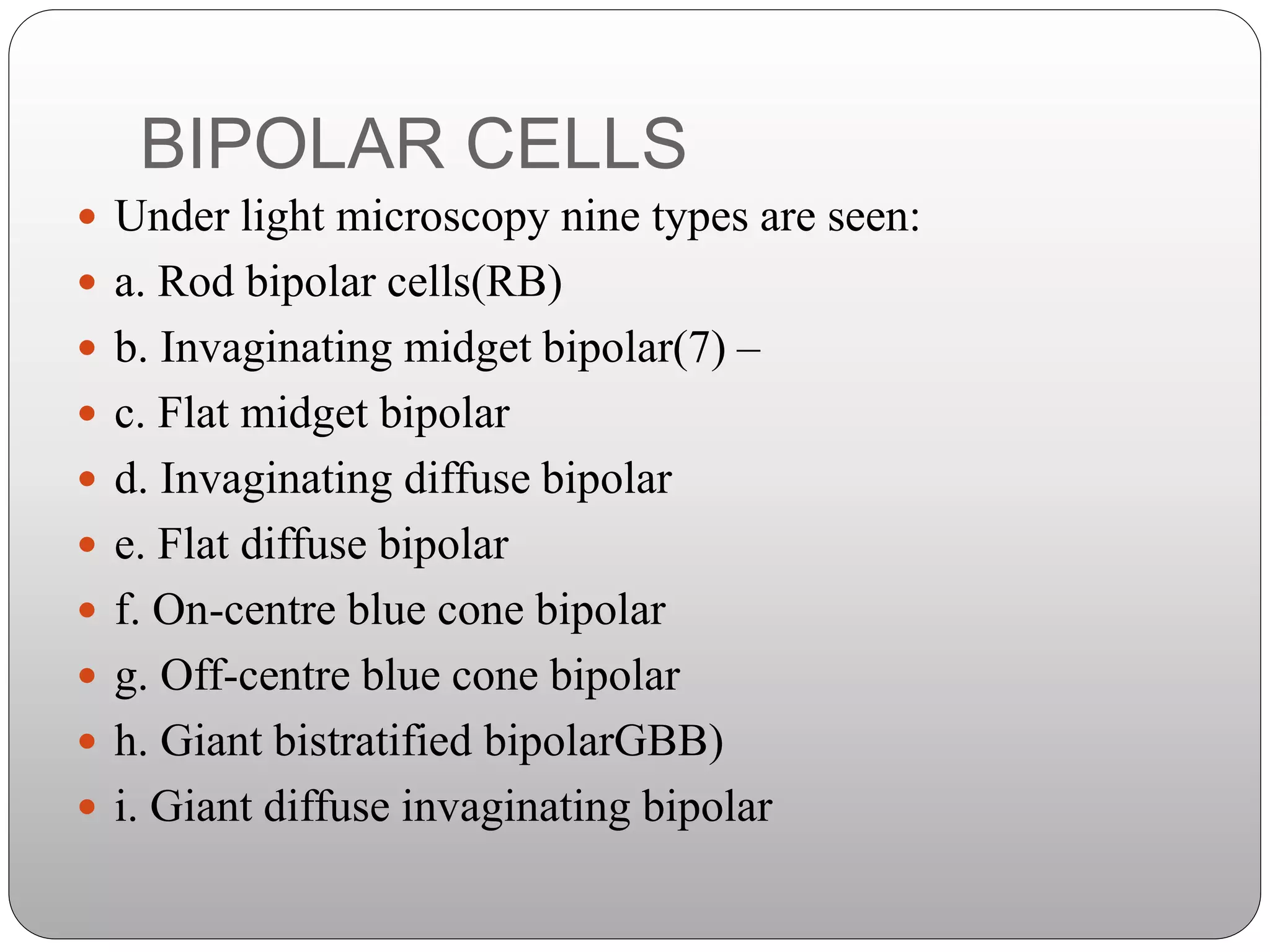 Anatomy of retina | PPTX