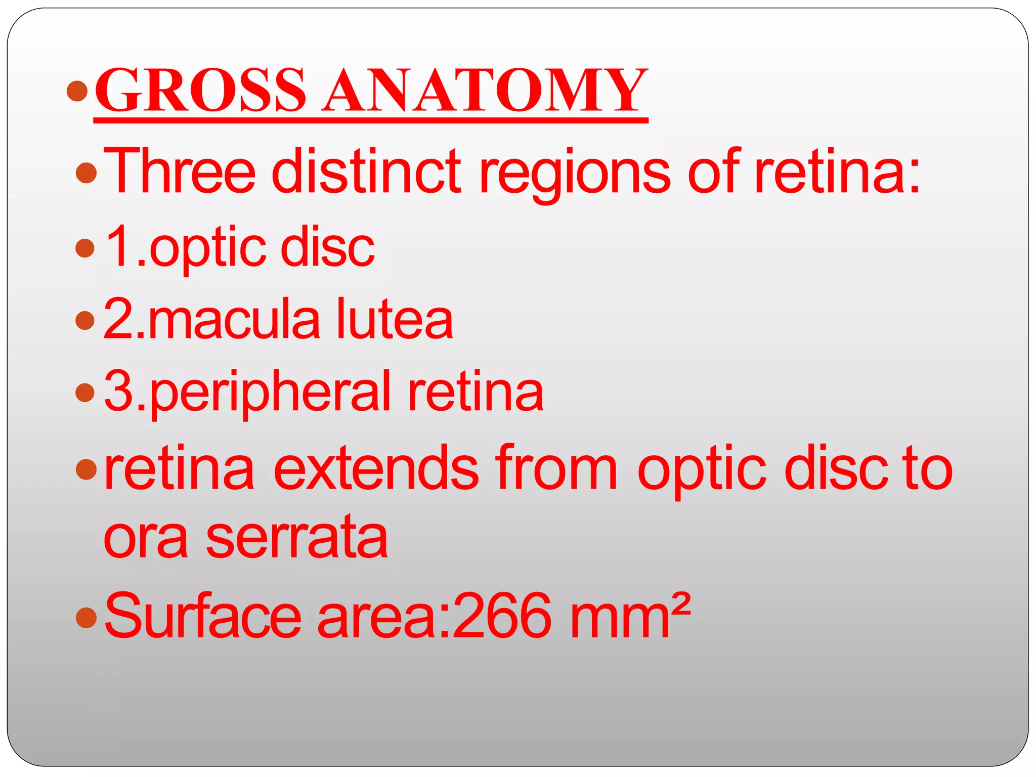 Anatomy of retina | PPTX