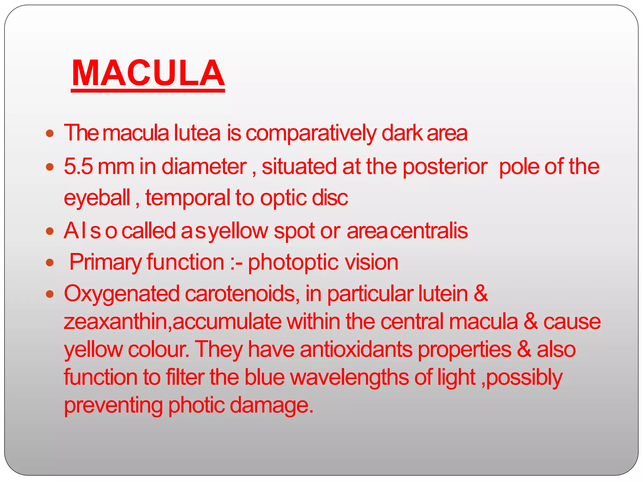 Anatomy of retina | PPTX