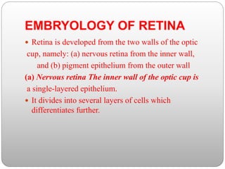 Anatomy of retina | PPTX