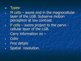 Anatomy of Retina | PPT