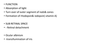 ANATOMY OF RETINA.pptx