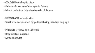 ANATOMY OF RETINA.pptx
