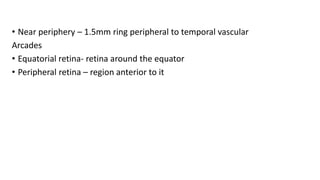 ANATOMY OF RETINA.pptx