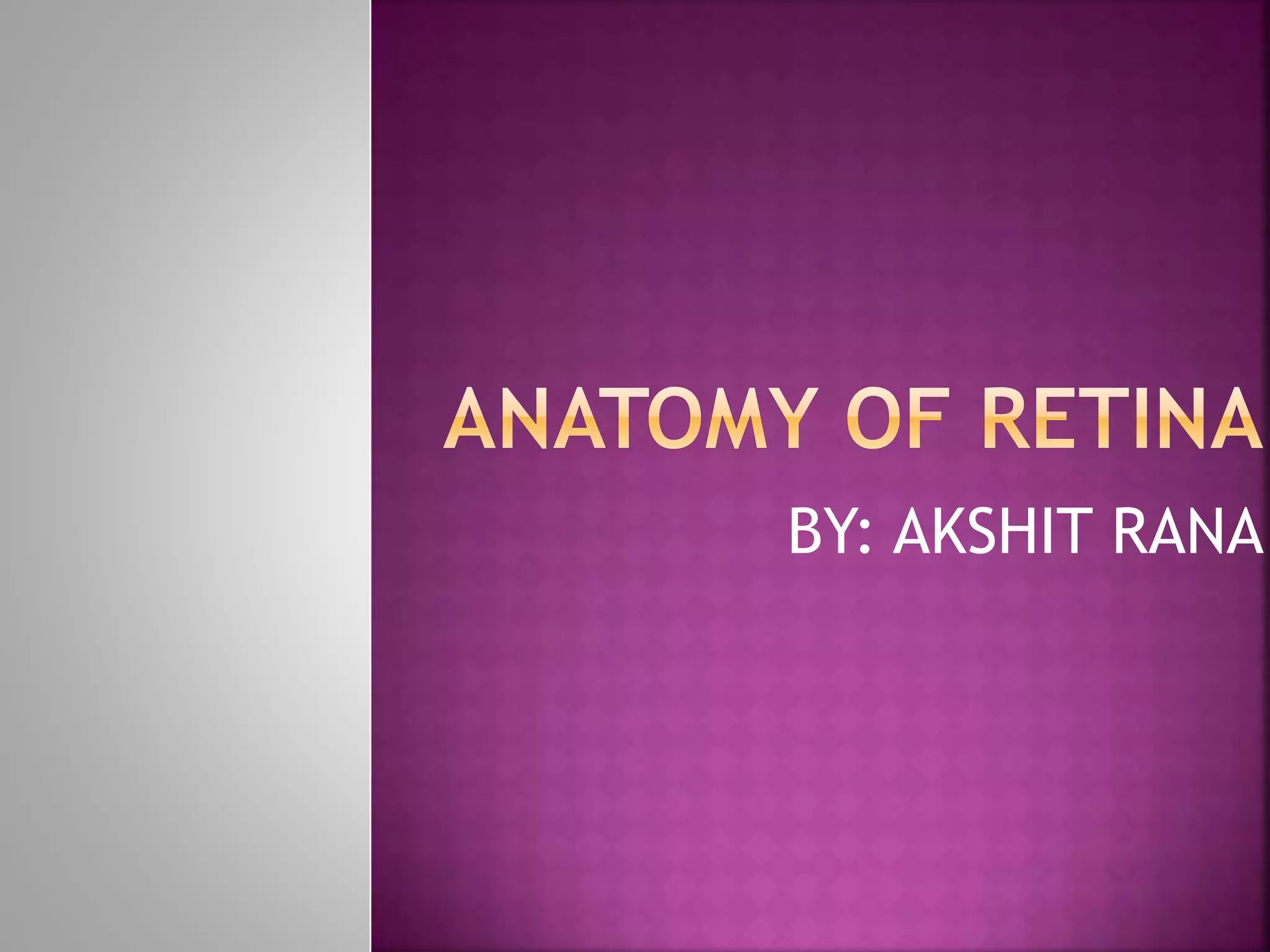 Anatomy of retina.pptx