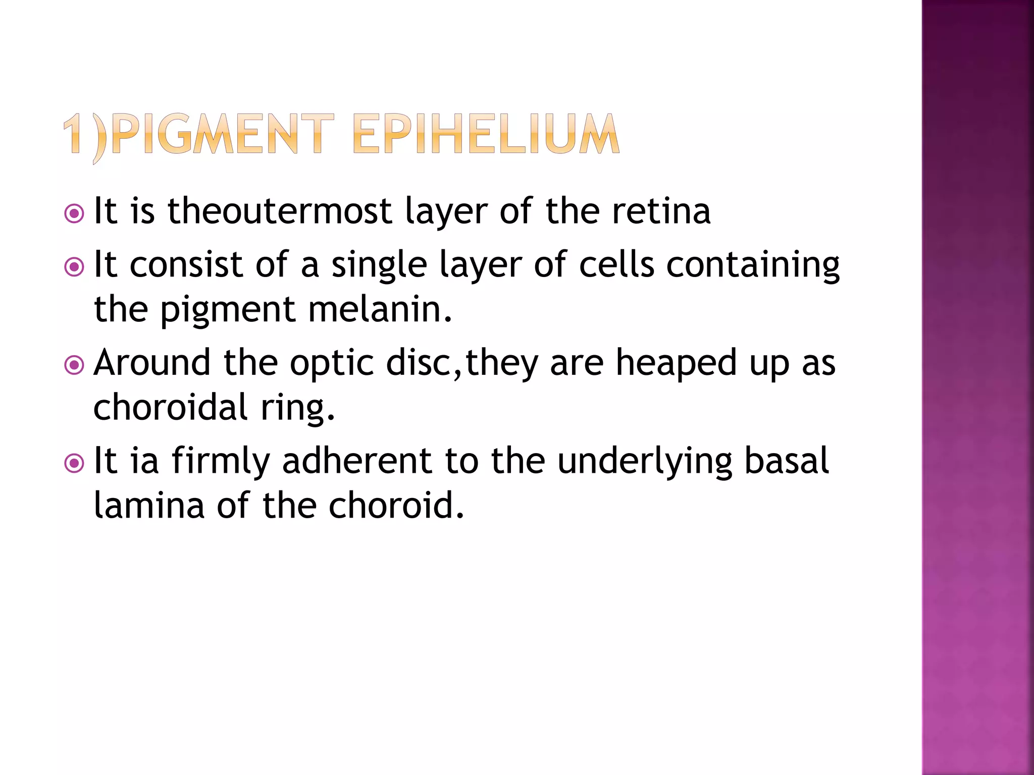 Anatomy of retina.pptx