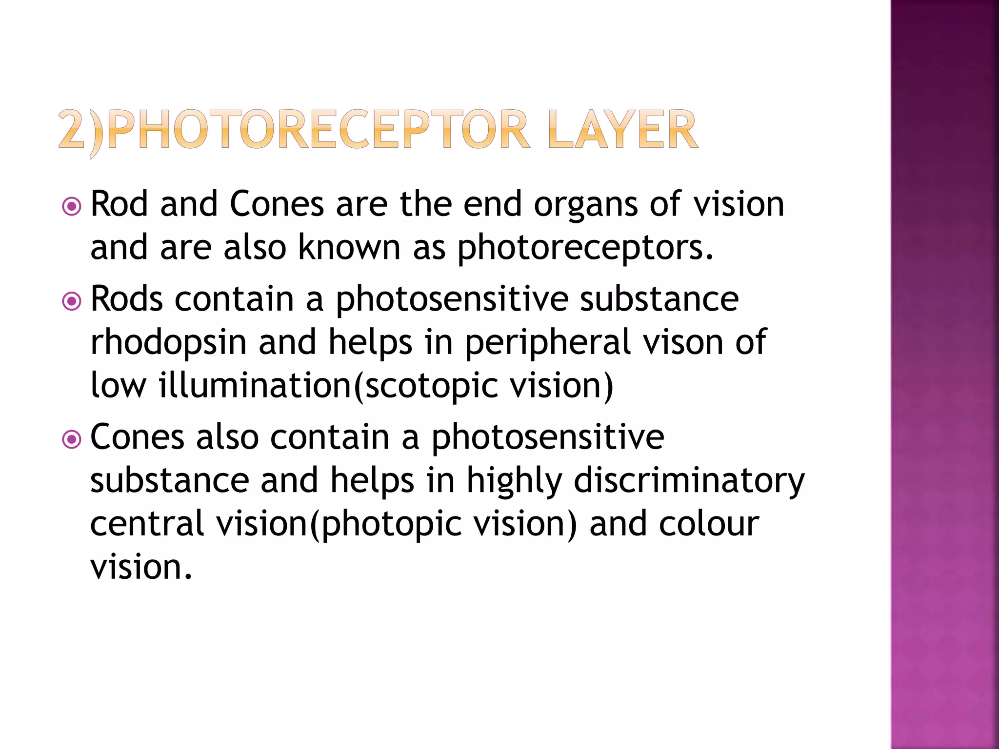 Anatomy of retina.pptx