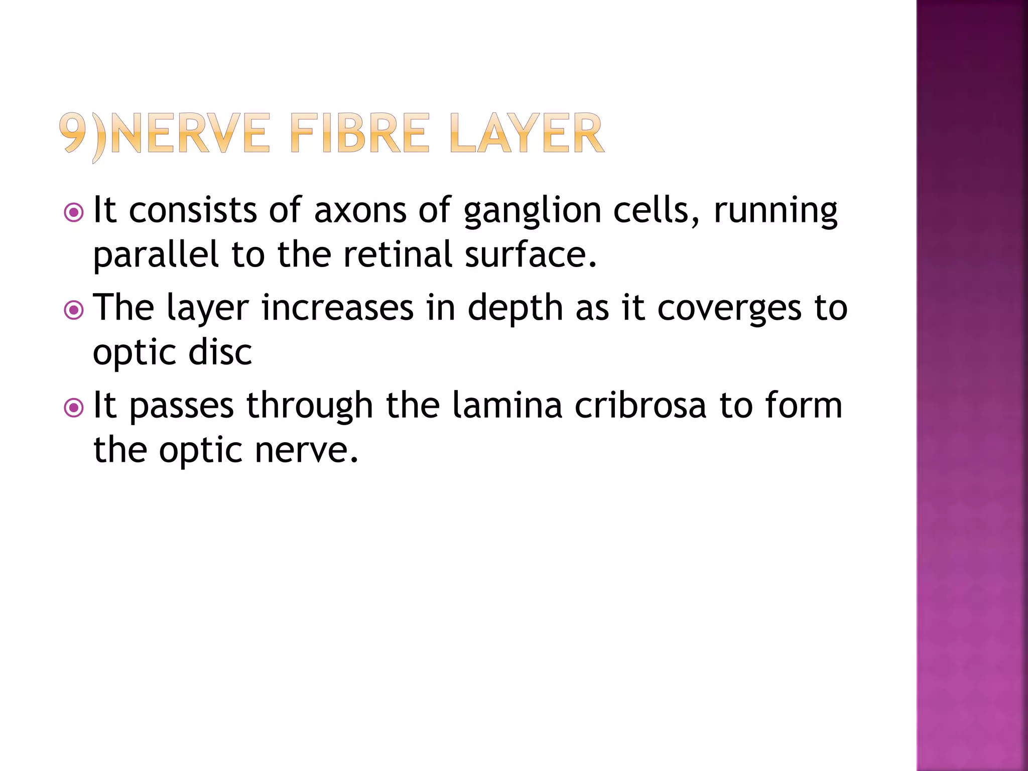 Anatomy of retina.pptx