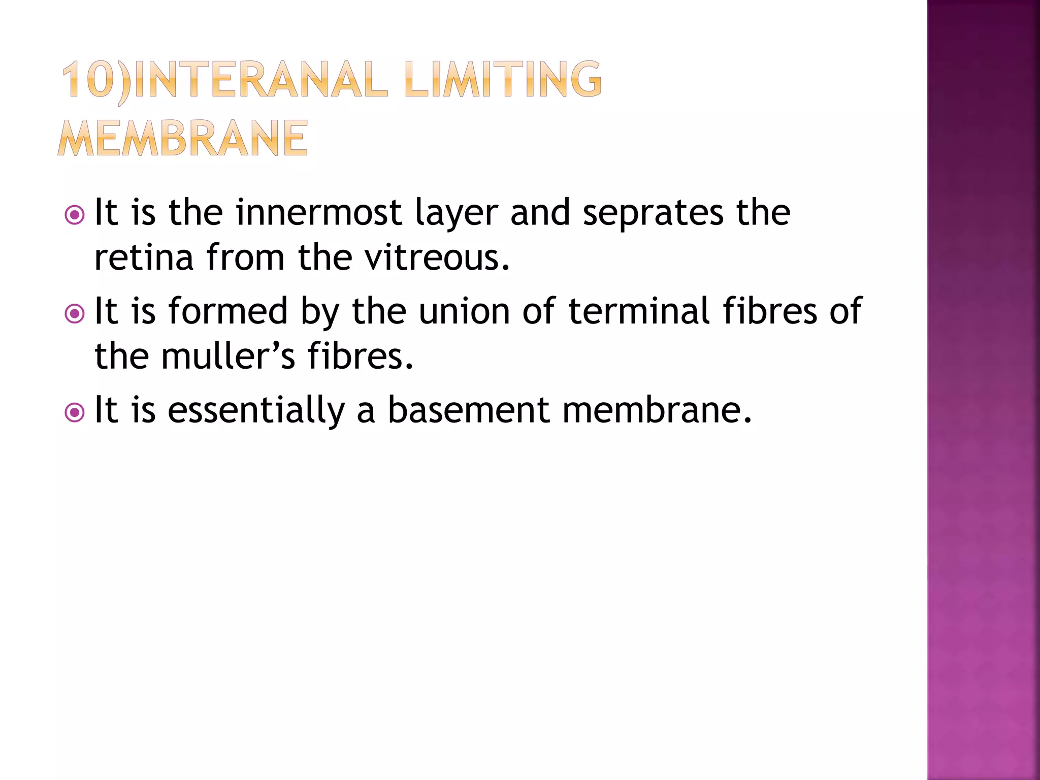 Anatomy of retina.pptx