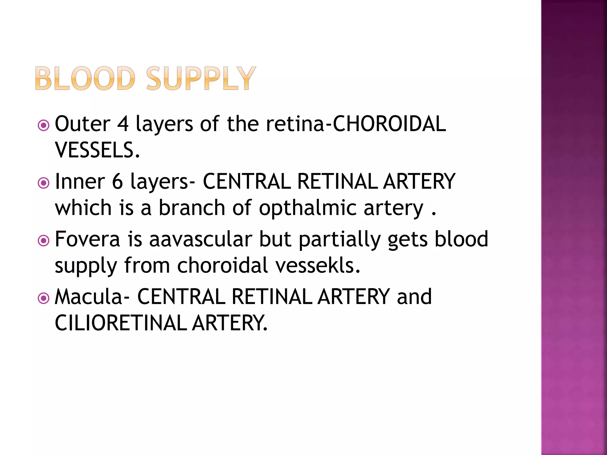 Anatomy of retina.pptx