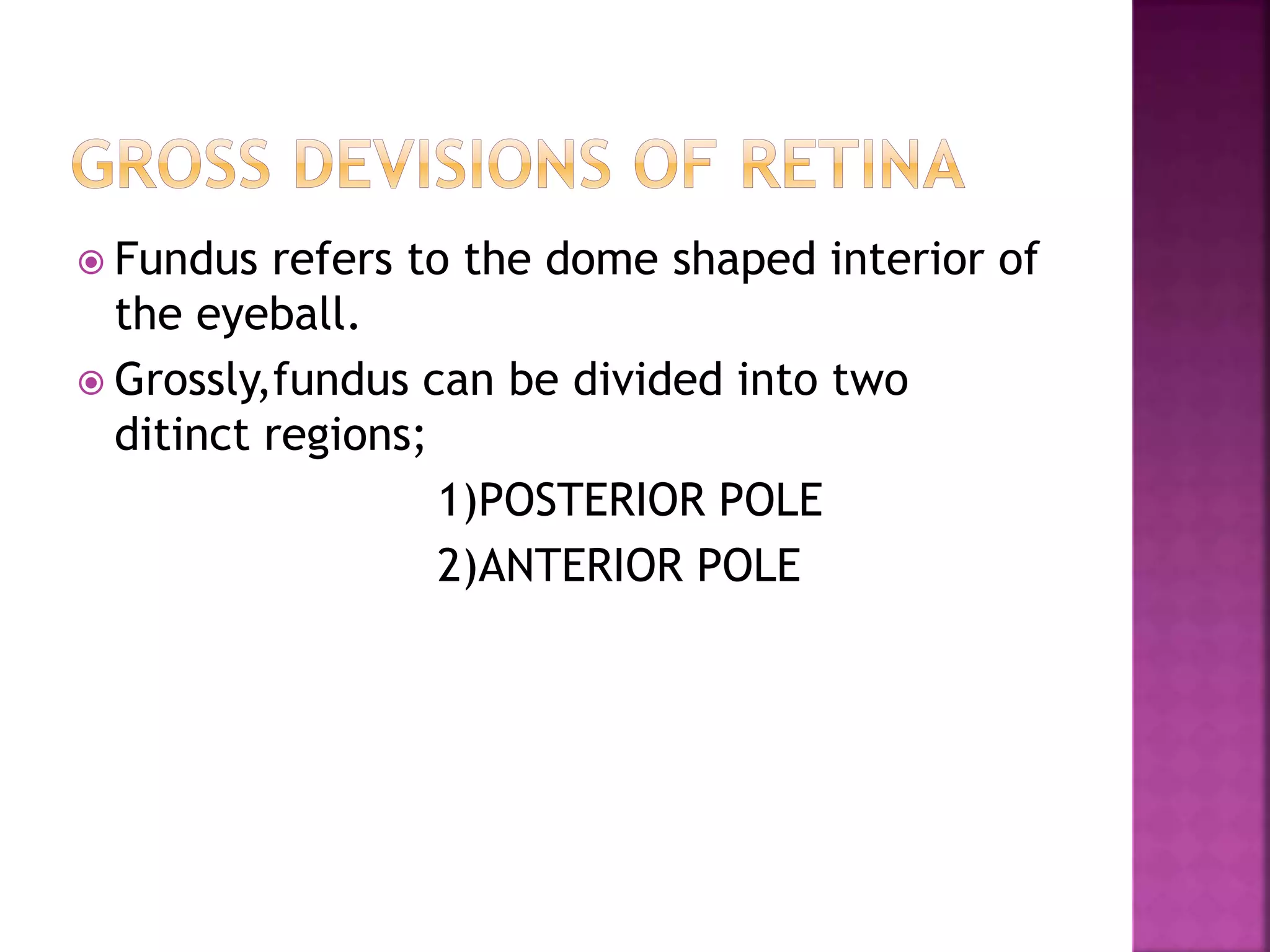 Anatomy of retina.pptx
