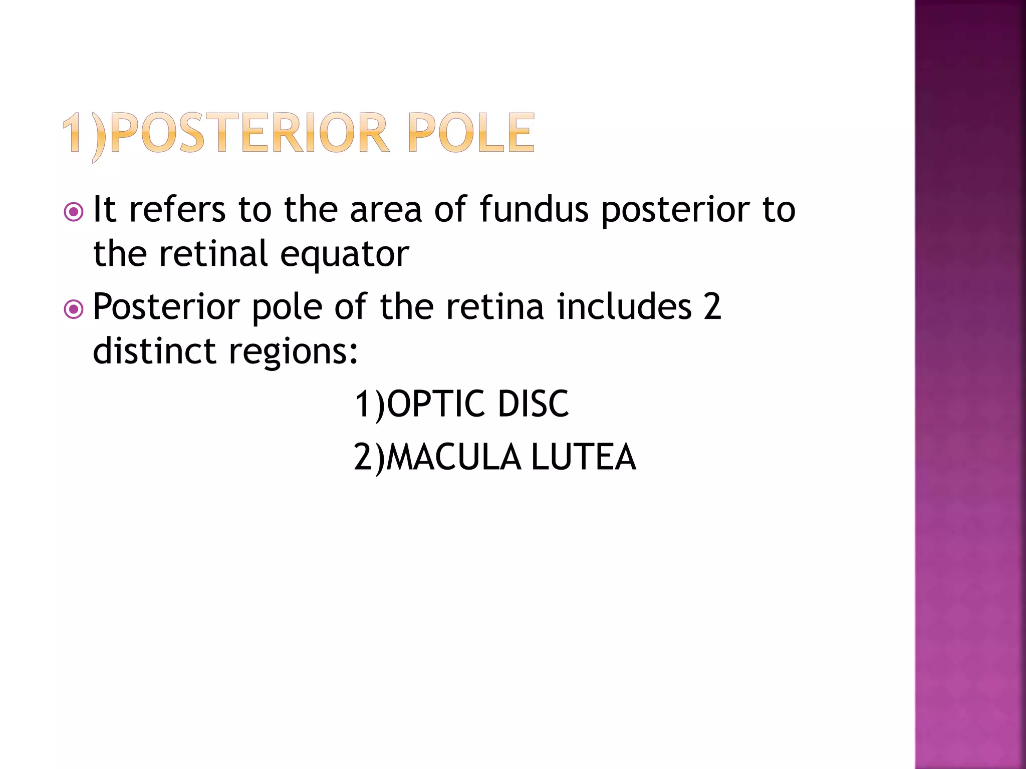 Anatomy of retina.pptx