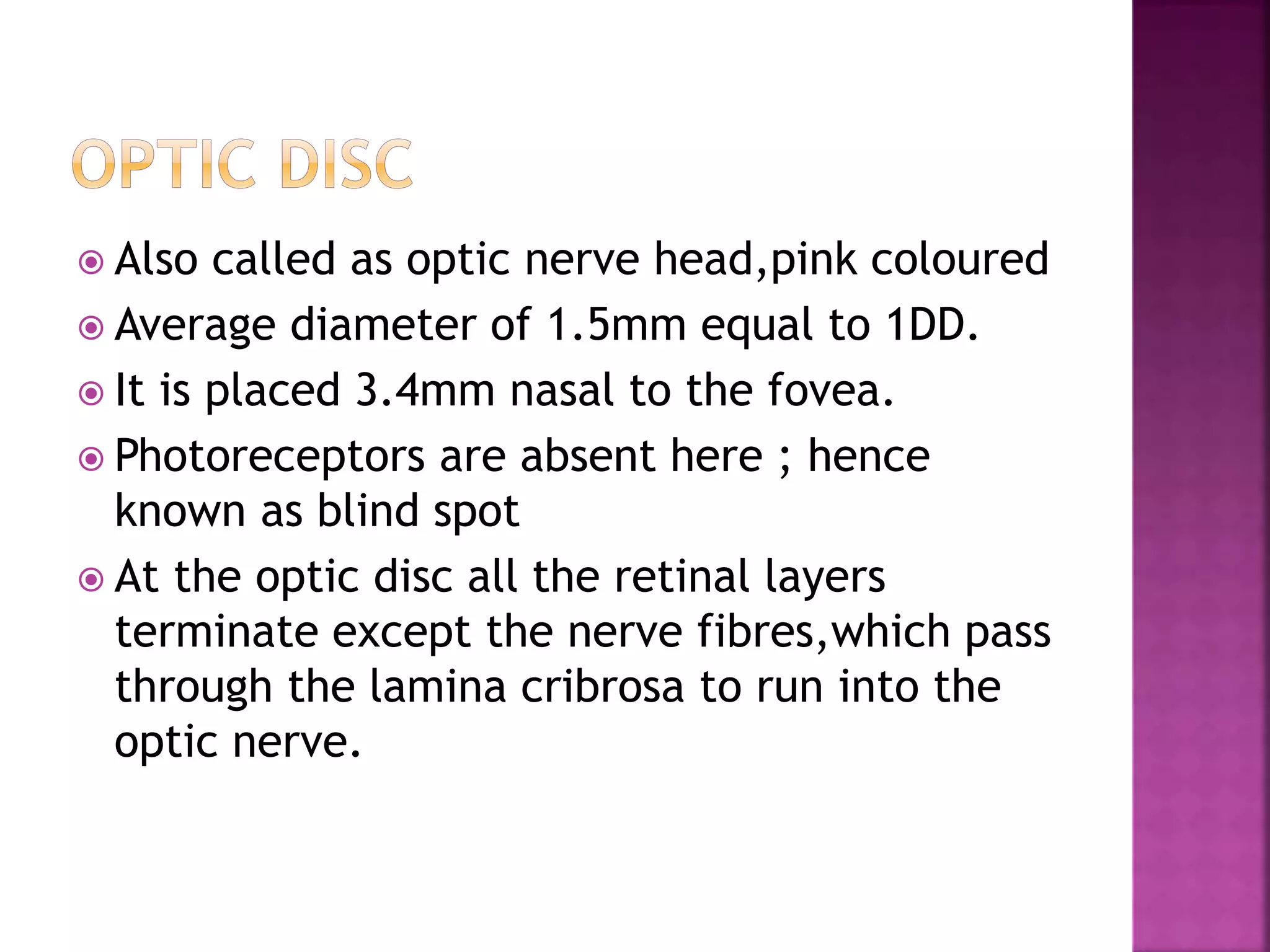 Anatomy of retina.pptx