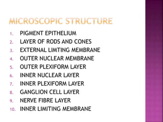 Anatomy of retina.pptx
