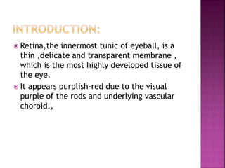 Anatomy of retina.pptx