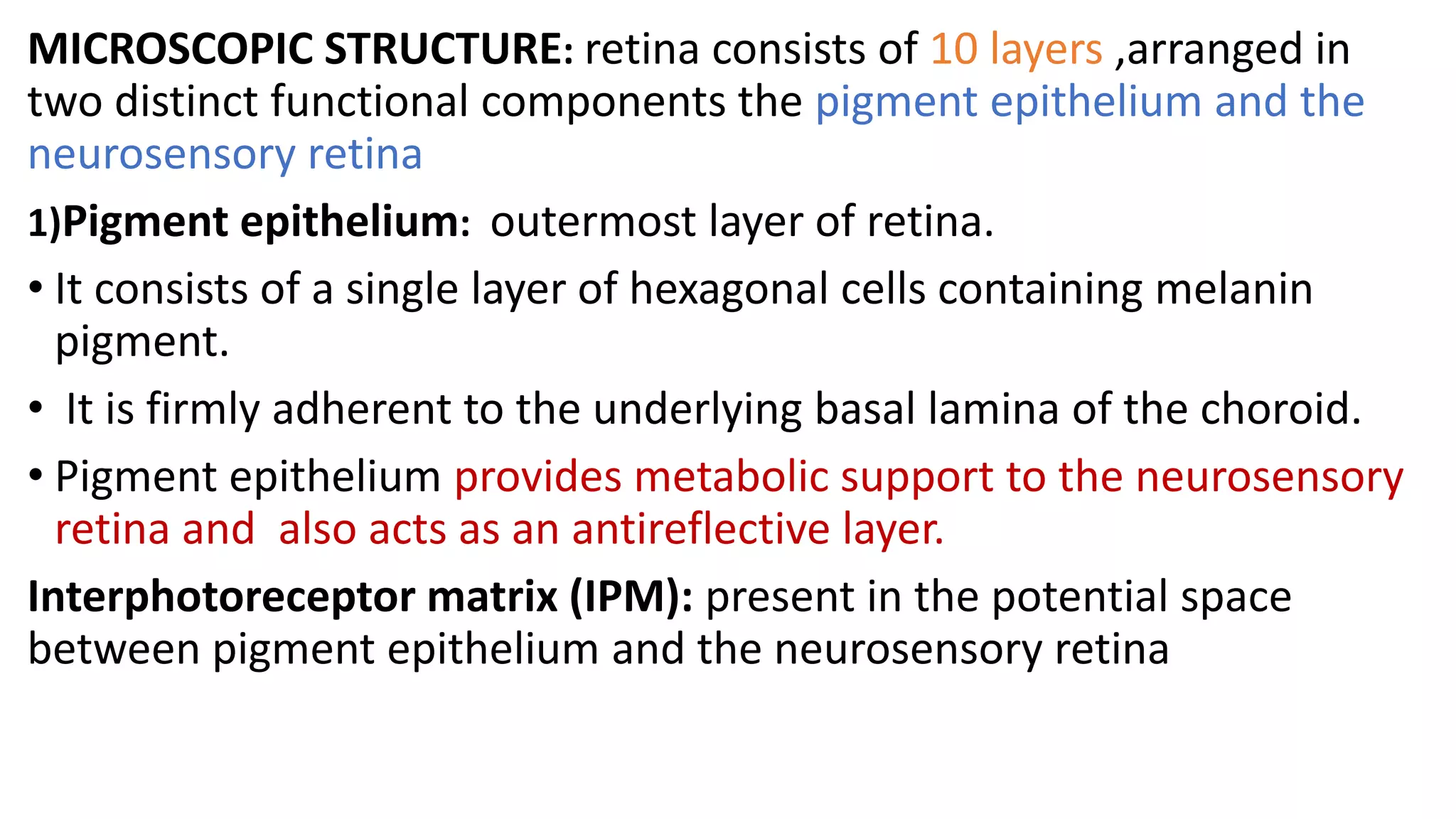 ANATOMY OF RETINA.pptx