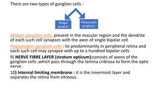 ANATOMY OF RETINA.pptx