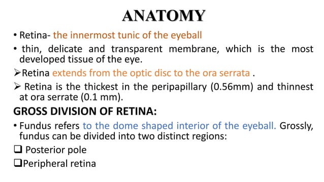 ANATOMY OF RETINA.pptx