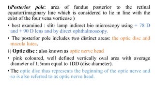 ANATOMY OF RETINA.pptx