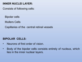 Anatomy of retina.pptx