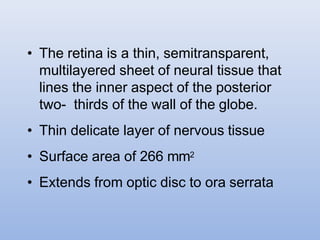 Anatomy of retina.pptx