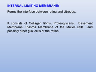 Anatomy of retina.pptx