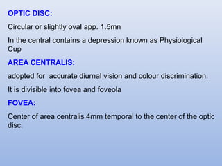 Anatomy of retina.pptx