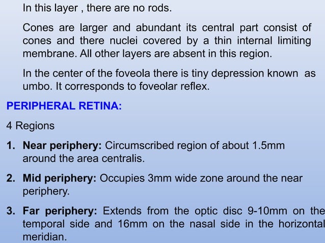 Anatomy of retina.pptx
