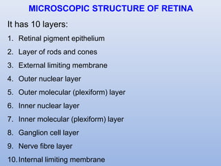 Anatomy of retina.pptx