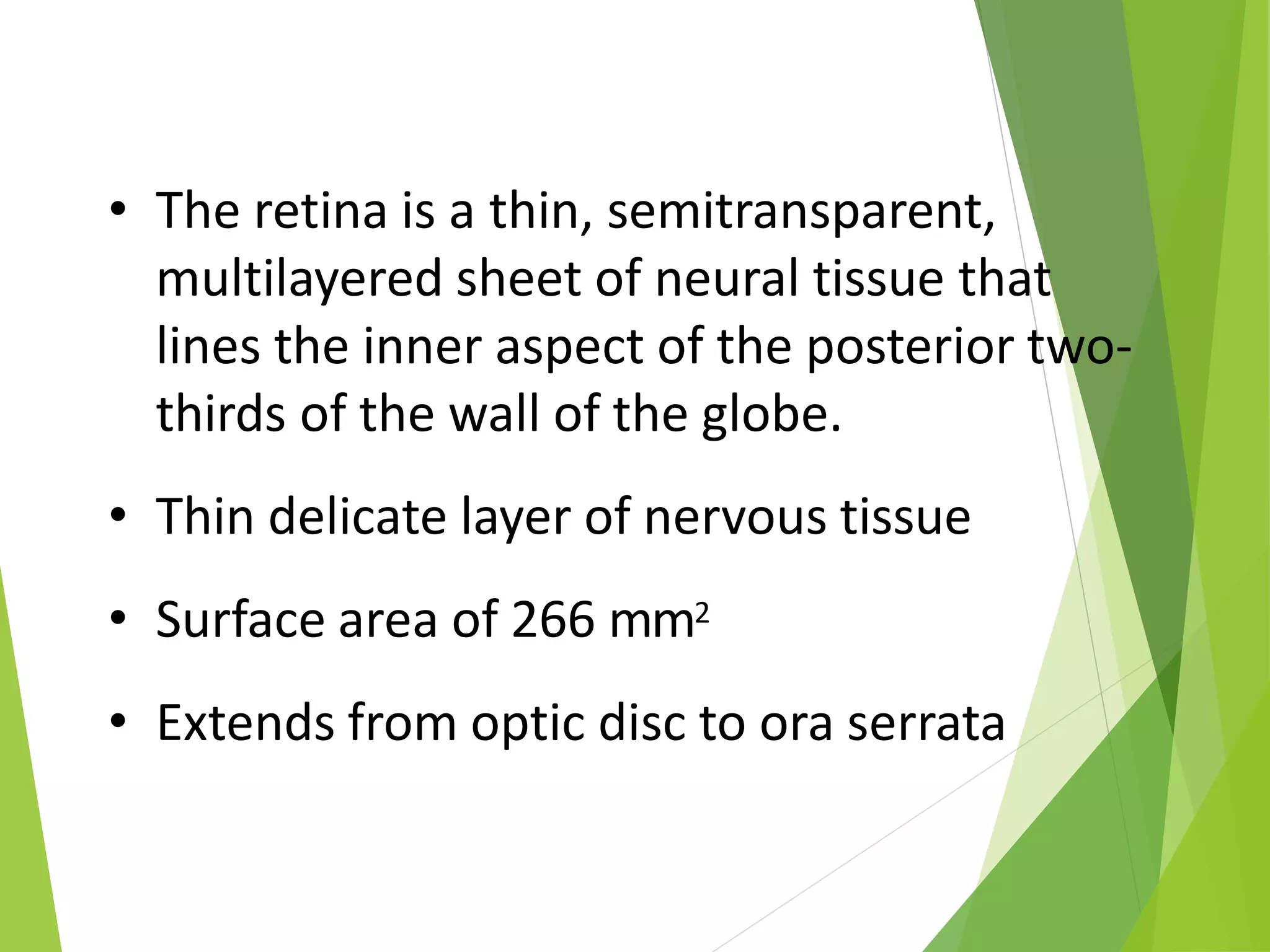 anatomyofretina.pptx | Eye and Vision Conditions | Diseases and Conditions