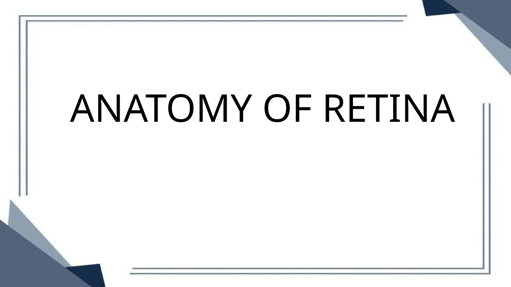 ANATOMY OF RETINA !.pptx with detailed description | PPTX
