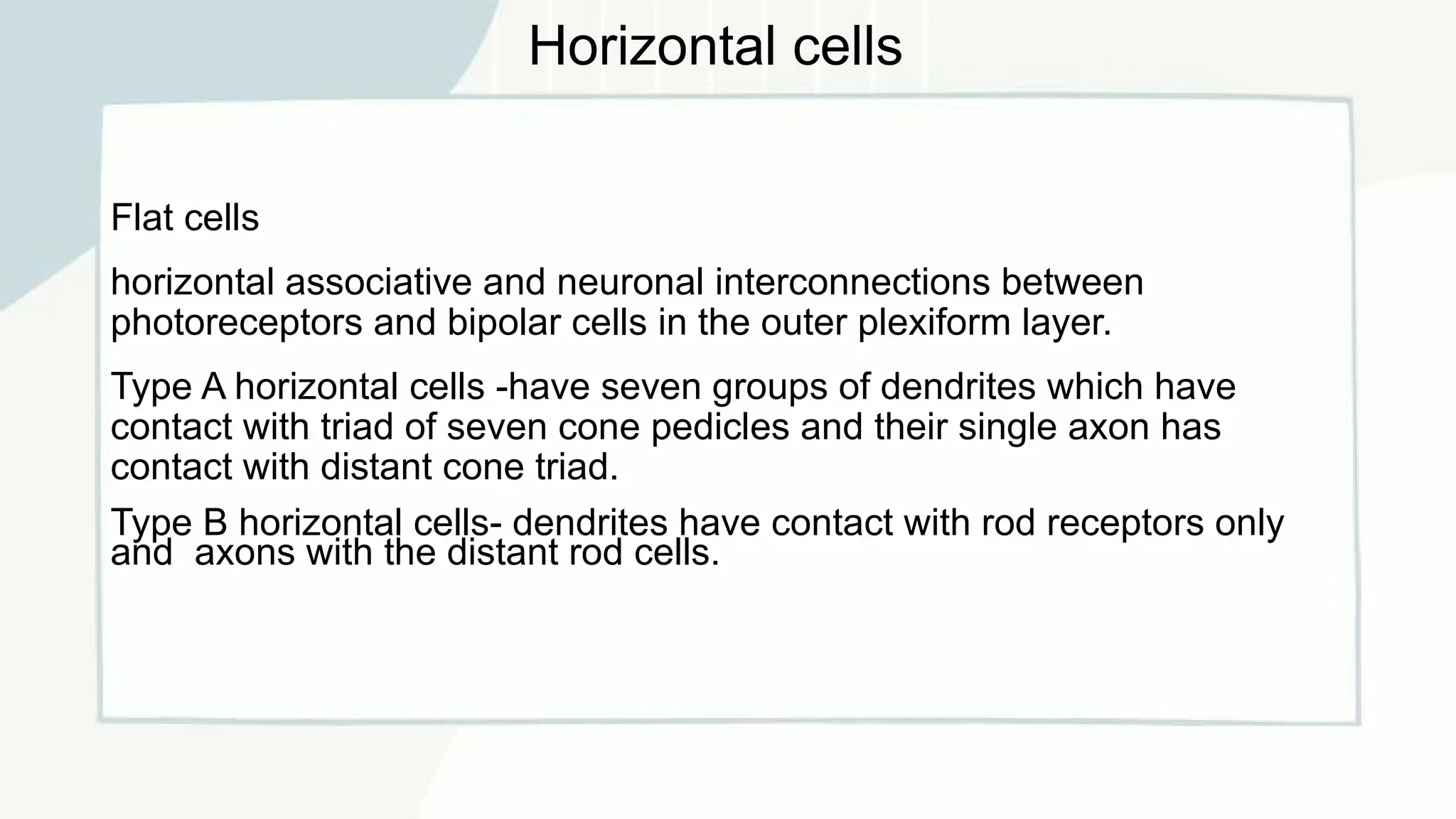 ANATOMY OF RETINA !.pptx with detailed description | PPTX