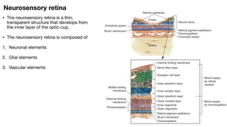 ANATOMY OF RETINA and not physiology of eyepdf | PPT