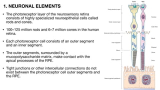 ANATOMY OF RETINA and not physiology of eyepdf | PPT