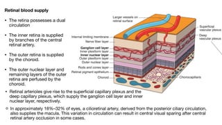 ANATOMY OF RETINA and not physiology of eyepdf | PPT