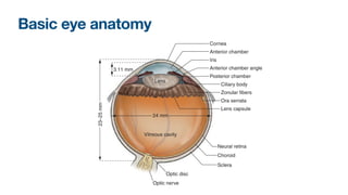 ANATOMY OF RETINA and not physiology of eyepdf | PDF