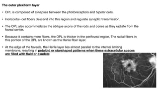 ANATOMY OF RETINA and not physiology of eyepdf | PPT