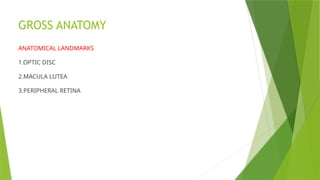 ANATOMY OF RETINA AND CLINICAL APPLICATIONS | PPTX