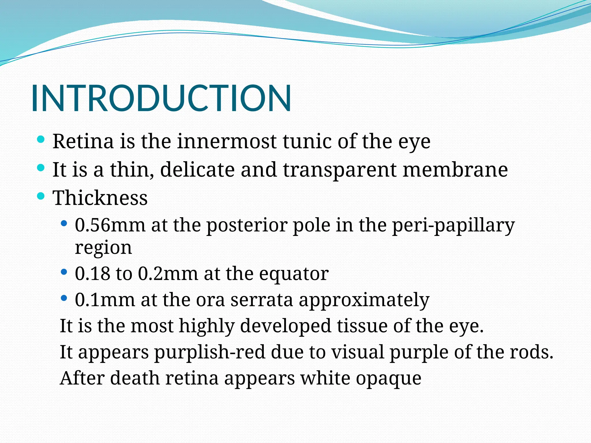 ANATOMY OF RETINA.pptx anatomy of retina | PPTX