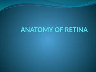 ANATOMY OF RETINA.pptx anatomy of retina | PPTX