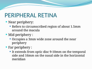 ANATOMY OF RETINA.pptx anatomy of retina | PPTX