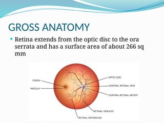 ANATOMY OF RETINA.pptx anatomy of retina | PPTX