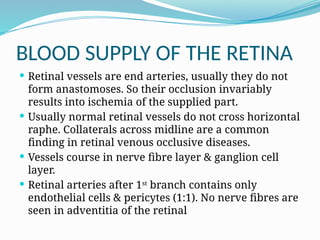 ANATOMY OF RETINA.pptx anatomy of retina | PPTX