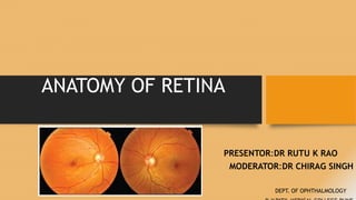 ANATOMY OF Retina details with intro-rao.pptx