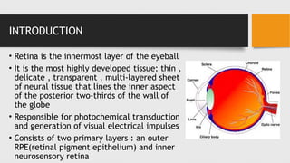 ANATOMY OF Retina details with intro-rao.pptx