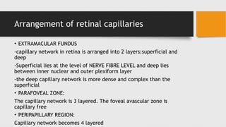 ANATOMY OF Retina details with intro-rao.pptx